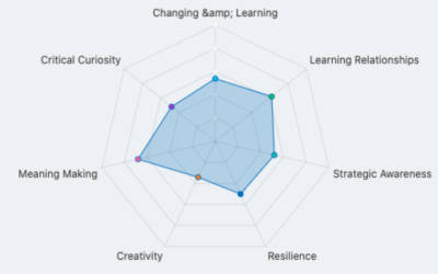 ELLI – a learning diagnostic tool | Building Learning Power